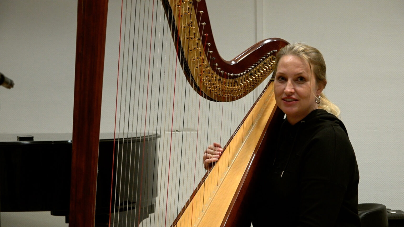 Instrument des Monats Oktober 22: Die Harfe | MENGEDE: InTakt!