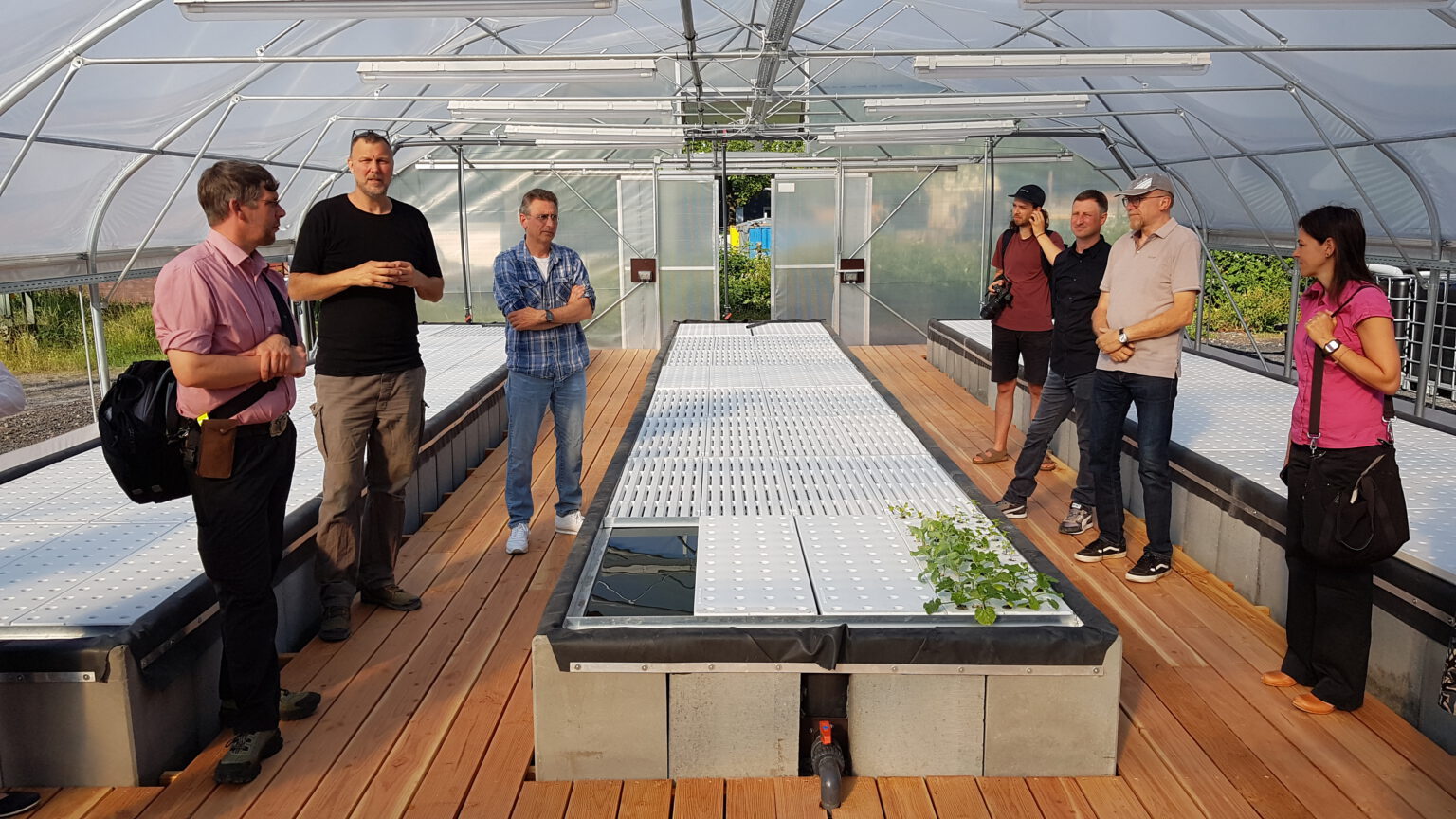 Aquaponiksystem auf der Kokerei Hansa in Betrieb : MENGEDE: InTakt!