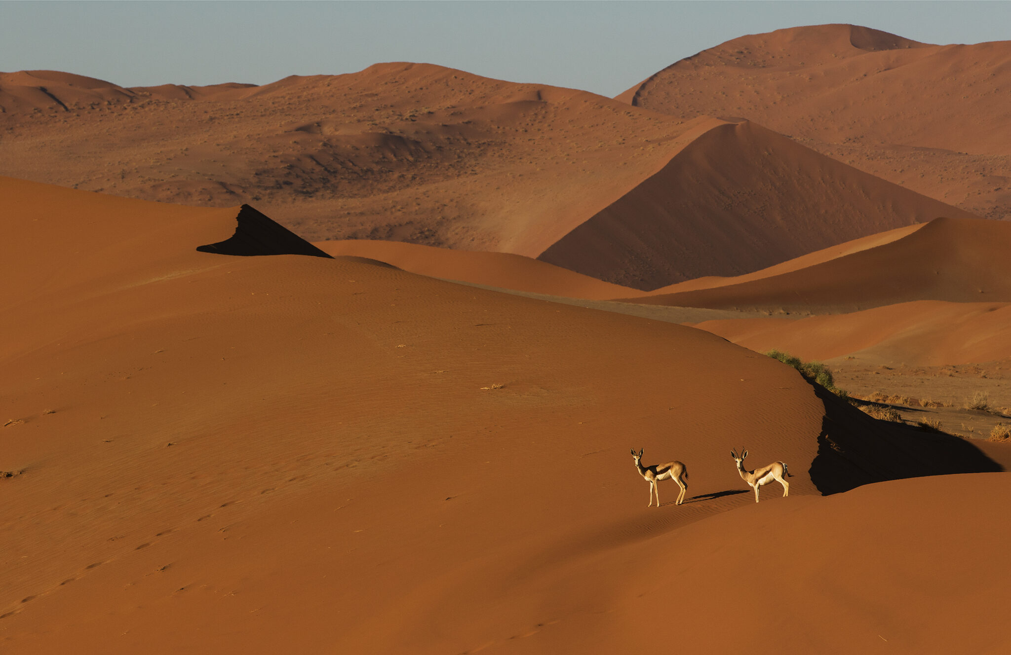 Naturmuseum zeigt eigenen Blick auf Namibia | MENGEDE: InTakt!